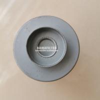 China Video outgoing-inspection Machine Oil Filter R110C25B For Hydraulic Oil Return Filter Element for sale