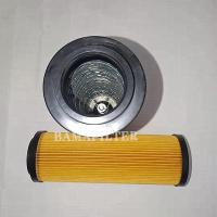 China Oil Removal Function Hydraulic Oil Filter Element 1002P25NB R122C25B for BAMA Supply for sale