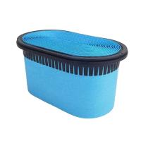 China core components 3 month OEM air filter element for Food Beverage truck parts ML242294 for sale
