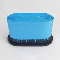 China core components 3 month OEM air filter element for Food Beverage truck parts ML242294 for sale