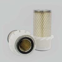 China Construction Works Air Filter Element P148113 and Video Outgoing-Inspection Provided for sale