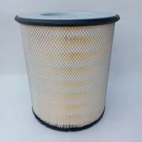 China Provided Video Outgoing-Inspection AF26173 Air Filter Element for Engineering Machinery for sale