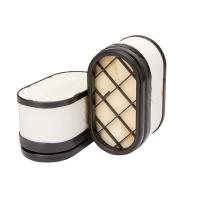 China Automobile And Truck Air Filter P611720 And For Construction Works And Condition for sale
