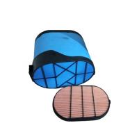 China 4kg Weight and 6mm Height Truck Air Filter P608677 for Heavy-Duty Applications for sale