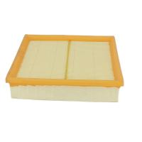 China Truck Parts Air Filter 8143691 with Video Outgoing-Inspection and Length 211mm for sale