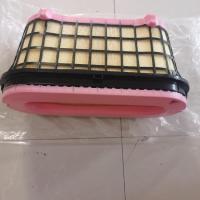 China C50005 Pump Car Air Filter with Video Outgoing-Inspection for sale