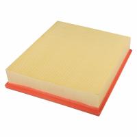 China Engine Air Filter 53034249AA Video Outgoing-Inspection Provided Weight KG 1 and More for sale