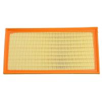 China 1j0129620 Engine Air Filter and 1KG Weight for Video Outgoing-Inspection for sale