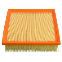 China Engine Air Filter 17801-31130 for 1kg Weight and Video Outgoing-Inspection Provided for sale