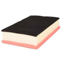 China C301531 Engine Parts Air Filter with Glass Fiber Core Components for sale