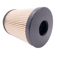 China Generator Set Fuel Filter Element 22296415 1kg for Video Outgoing-Inspection Provided for sale