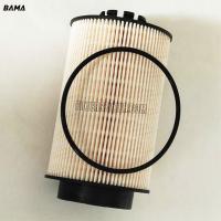China Field of Application Fuel Filtration Excavator Fuel Filter Element 10289138 with Seal for sale