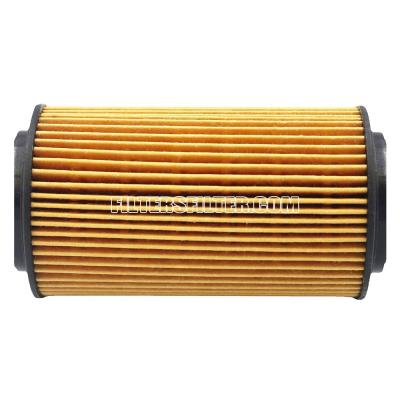 China Get the Best Oil Filtration Performance with HU7010z Engine Oil Filter Weight 1 KG for sale