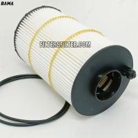 China 1kg Weight Replace Truck Oil Filter Element 61160070119 with 3 Month for sale