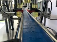 China 30cans/Mim Cap Screwing Machine For H100mm Glass Bottles for sale