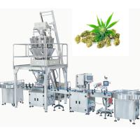 China 10 heads Potato Chip Packaging Machine , 2.5L Hopper Small Chips Packing Machine for sale