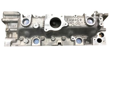 China Cylinder Head - 908997 AMC - 1609073180, 908997, 1864346 For FORD PEUGEOT CITROEN TOYOTA for sale
