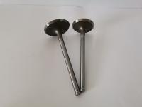 China GM VECTRA Automotive Engine Inlet Valves , Car Diesel Engine Parts for sale