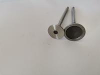 China 3998AC Diesel Engine Valve For FIAT for sale