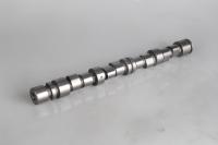China Professional Car Engine Camshaft OPEL OEM 24548 636041 for Z16SE / X16SZR for sale