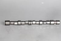China OPEL Car Engine Camshaft Replacement 24548 636041 For Z16SE / X16SZR for sale