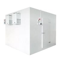 China Steel Plate Freezer Cold Room Temperature Controlled Chamber For Frozen Storage for sale