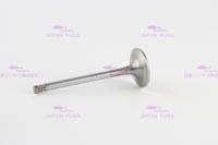 China D6E Diesel Engine Valve 20798699 20849976 for EC210B EC220D EW145B EW205D - 6 Cylinder Engine Parts for sale
