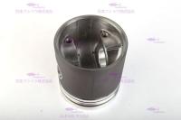 China Engine Parts Piston DOOSAN DE12T 65.02501-00590 DIA 123 mm for sale