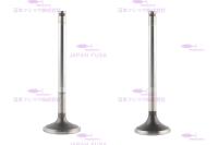 China 65.04101-0043 Diesel Engine Valve for Doosan DE12T D2366 - 6 Cylinder Compatible with DH420 DH500 Models for sale
