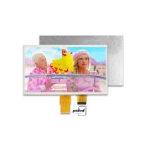 China Polcd Resolution 1024X600 10.1 Inch Lcd Display EK79001 Tft Display Module 750 Nit for sale