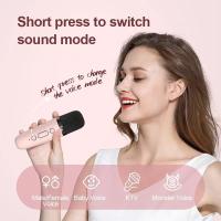 China Mini Portable Bluetooth Speaker With Mic Audio Home Family Singing Karaoke Wireless Speaker for sale