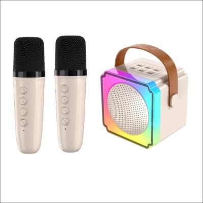 China Mini Speaker LED Light P8 BT 5.3 HiFi Sound System Dual Wireless Microphone Bluetooth Karaoke Kids Gift Portable for sale
