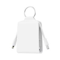 China Dual-Wire Portable Power Bank with Keychain and Li-Polymer Battery Type-C Input/Output 5W Output for sale