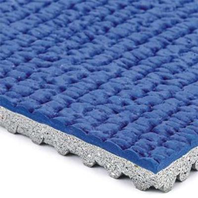 China Rubber Home Prefabricated Running Track Roll Two Layer Structure Environment Friendly for sale