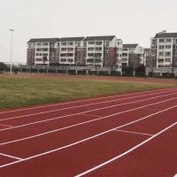 China Blue Stadium Running Track for sale
