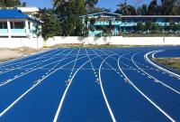 China 13mm Polyurethane Synthetic Athletic Track EPDM Color Particles for sale