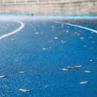 China EPDM Rubber Granules Plastic Running Track 400m Running Track Blue Color for sale