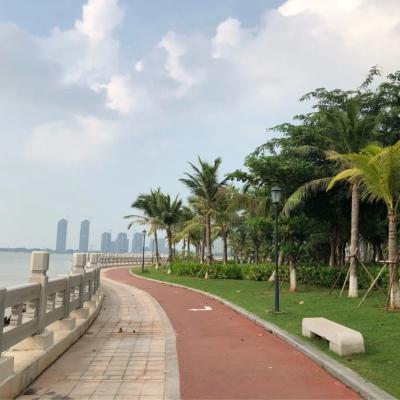 China IAAF Standard Rubber Jogging Track Durable EPDM SBR Outdoor Way for sale