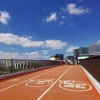 China Eco Friendly Rubber Prefabricated Roll Mat For Park Walkway 9mm for sale