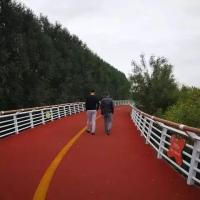 China Infilled Rubber Jogging Track 3.5mm EPDM Granules Colorful Outdoor Rubber Walkway for sale