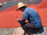 China Synthetic Playground Rubber Granules For Sports Flooring for sale