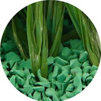China EPDM Green Color Rubber Granules For Sports Basketball Court Floor WAF Approved for sale