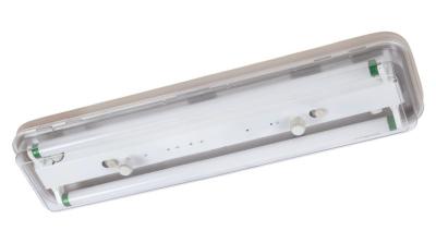 China CCY26-2 T8 Fluorescent Pendent Light Boat Interior Lighting for sale