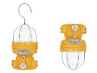 China BDD81 Explosion Proof Marine Lighting IP66 Waterproof Protection for sale