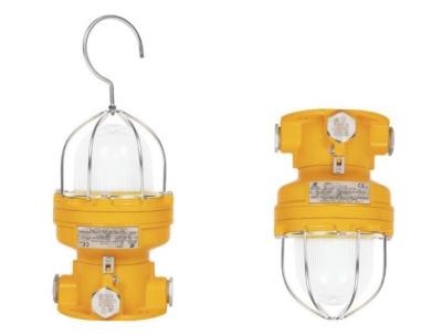 China BDD81 Explosion Proof Marine Lighting IP66 Waterproof Protection for sale