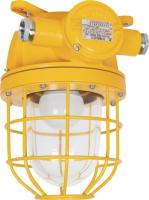 China dF1 Explosion Proof Marine Pendant Light Corrosion Proof Waterproof Protection for sale