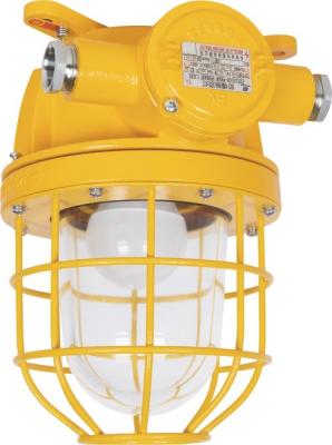 China dF1 Explosion Proof Marine Pendant Light Corrosion Proof Waterproof Protection for sale