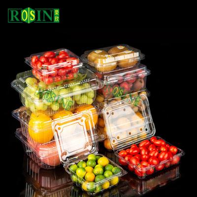 China Custom Blister Transparent Reusable Hinged Fruit Clamshell Box Disposable Clear Plastic Container Packing Box For Fruit Salad With Holes for sale