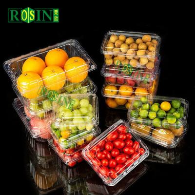 China Wholesale Thermoforming Clamshell Plastic Fruit Pet Strawberry Tomato Punnet Clear Disposable Fruit Vegetable Salad Container No Hole for sale