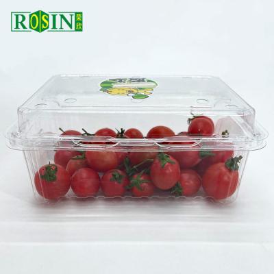 China Disposable Clear PET Clamshell Hinged Lid Container Packing Supermarket Plastic Blister Fruit Salad Box With Holes for sale